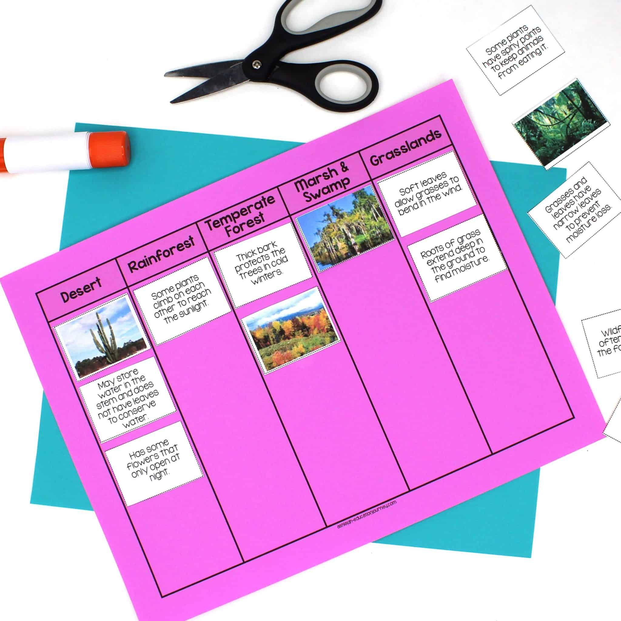 Animal Adaptation Activities - Ashleigh's Education Journey