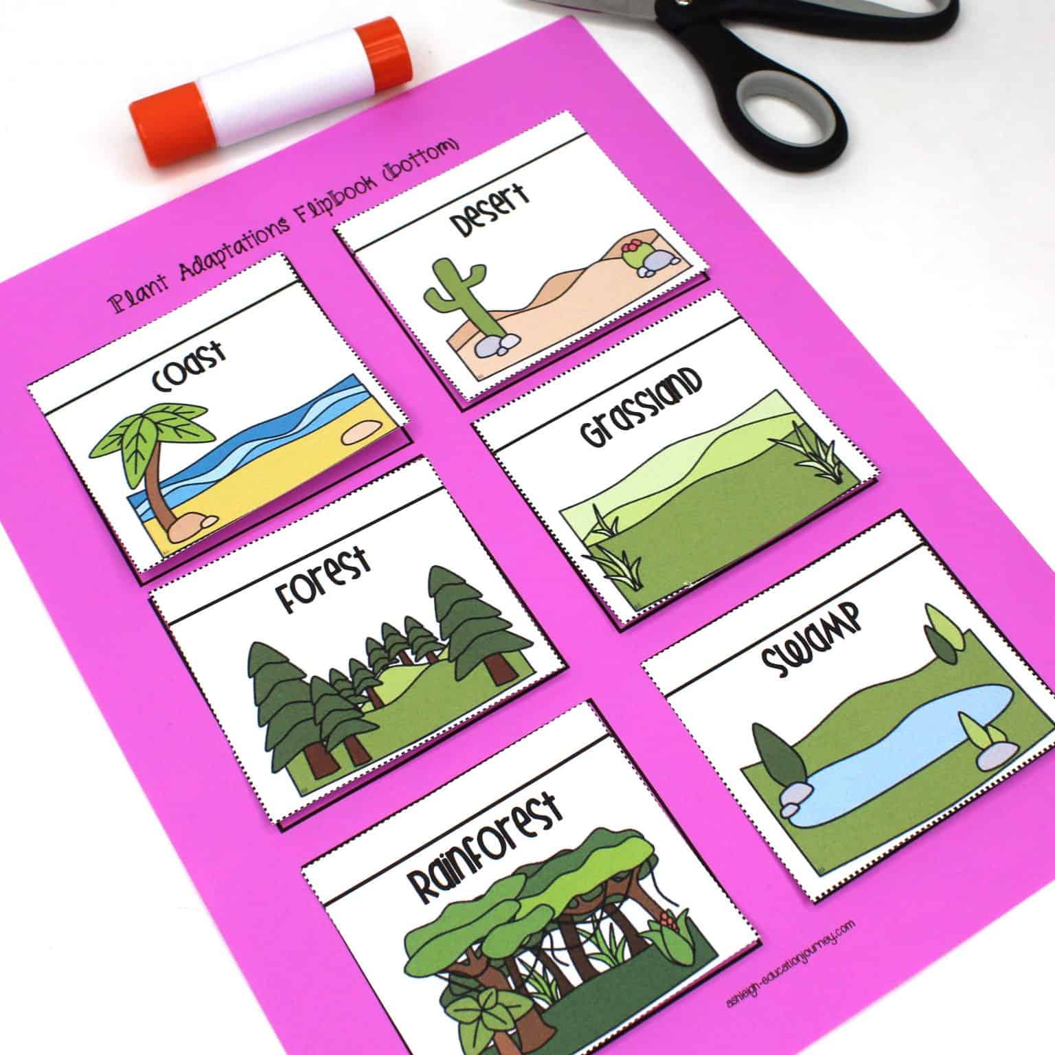 Animal Adaptation Activities - Ashleigh's Education Journey