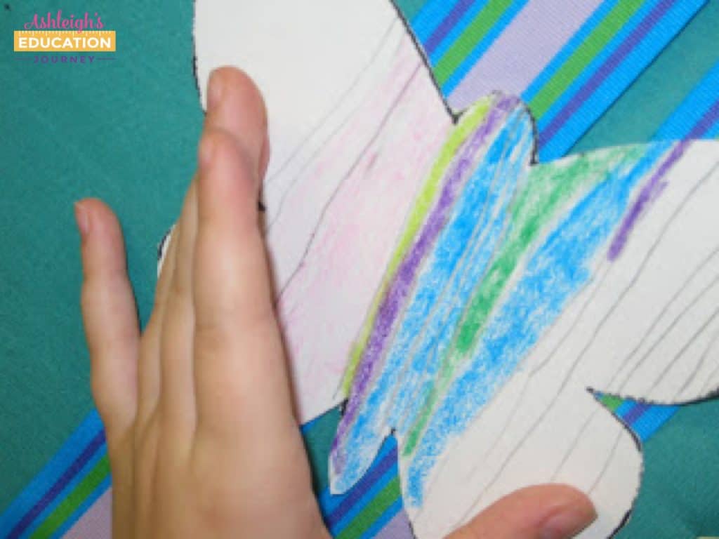 Animal Adaptation Activities - Ashleigh's Education Journey