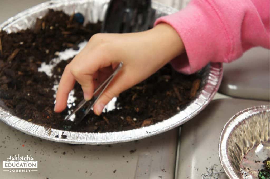 Animal Adaptation Activities - Ashleigh's Education Journey