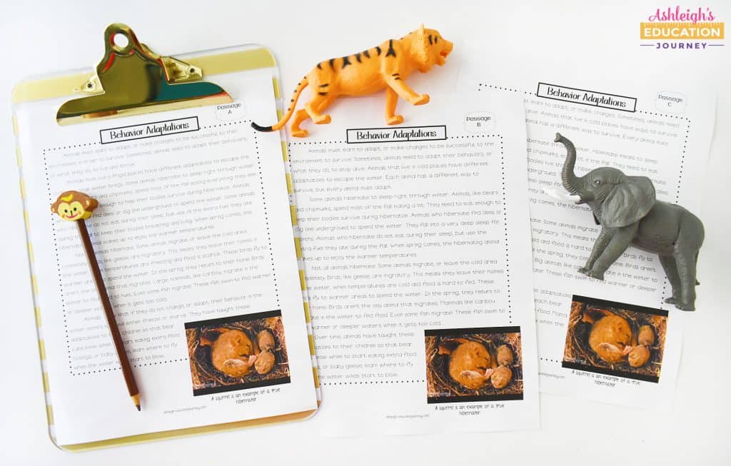 Animal Adaptation Activities - Ashleigh's Education Journey