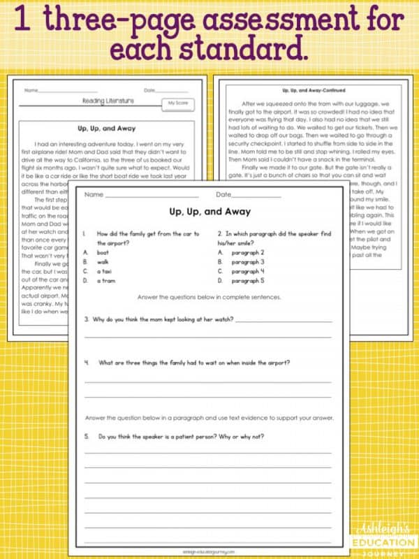 Language Arts Assessments - Ashleigh's Education Journey