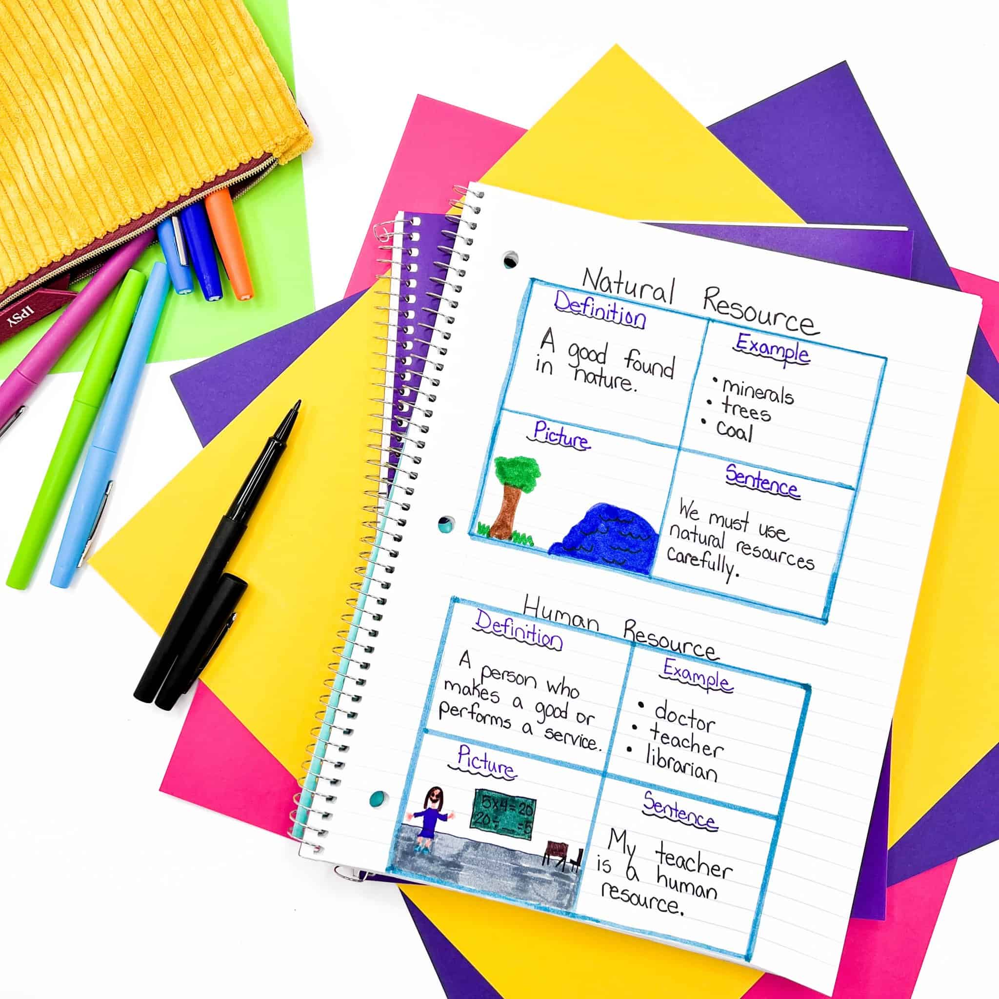 Teaching Elementary Science and Social Studies