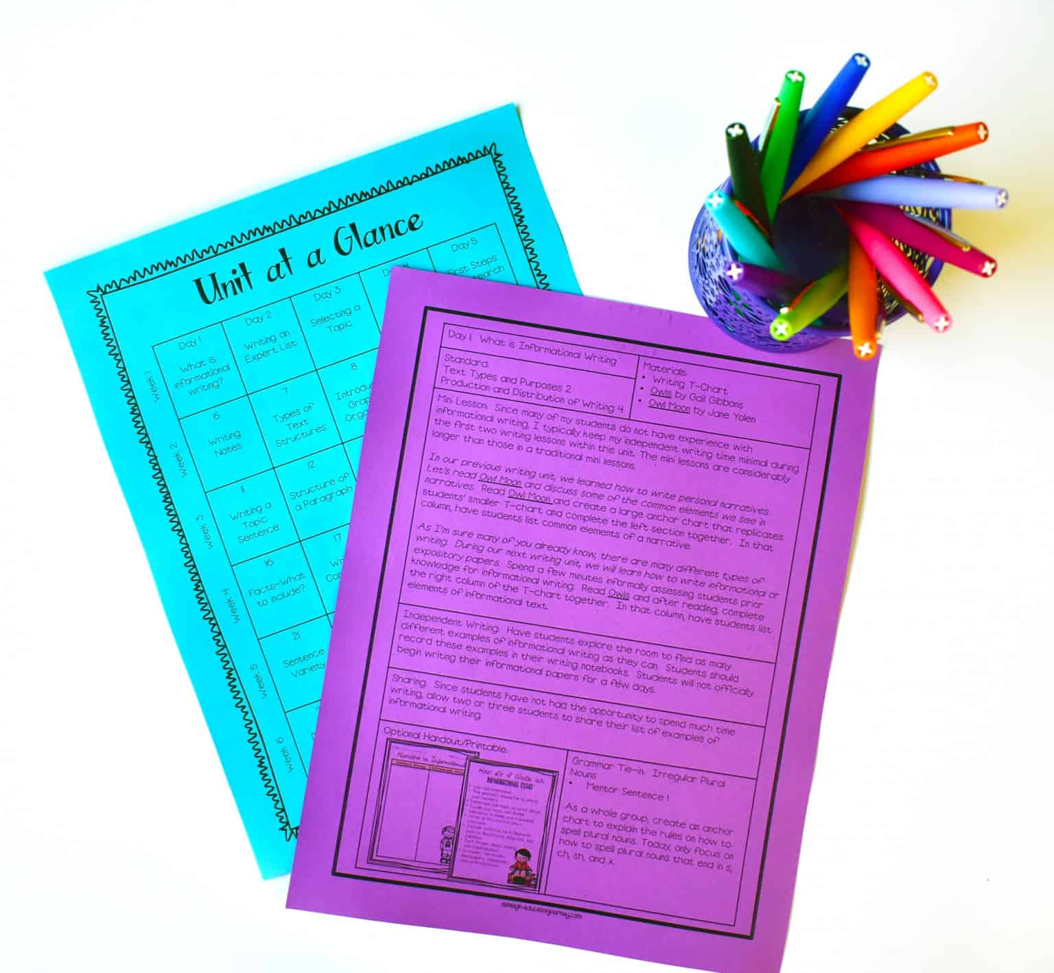 Informational Writing Lessons - Ashleigh's Education Journey