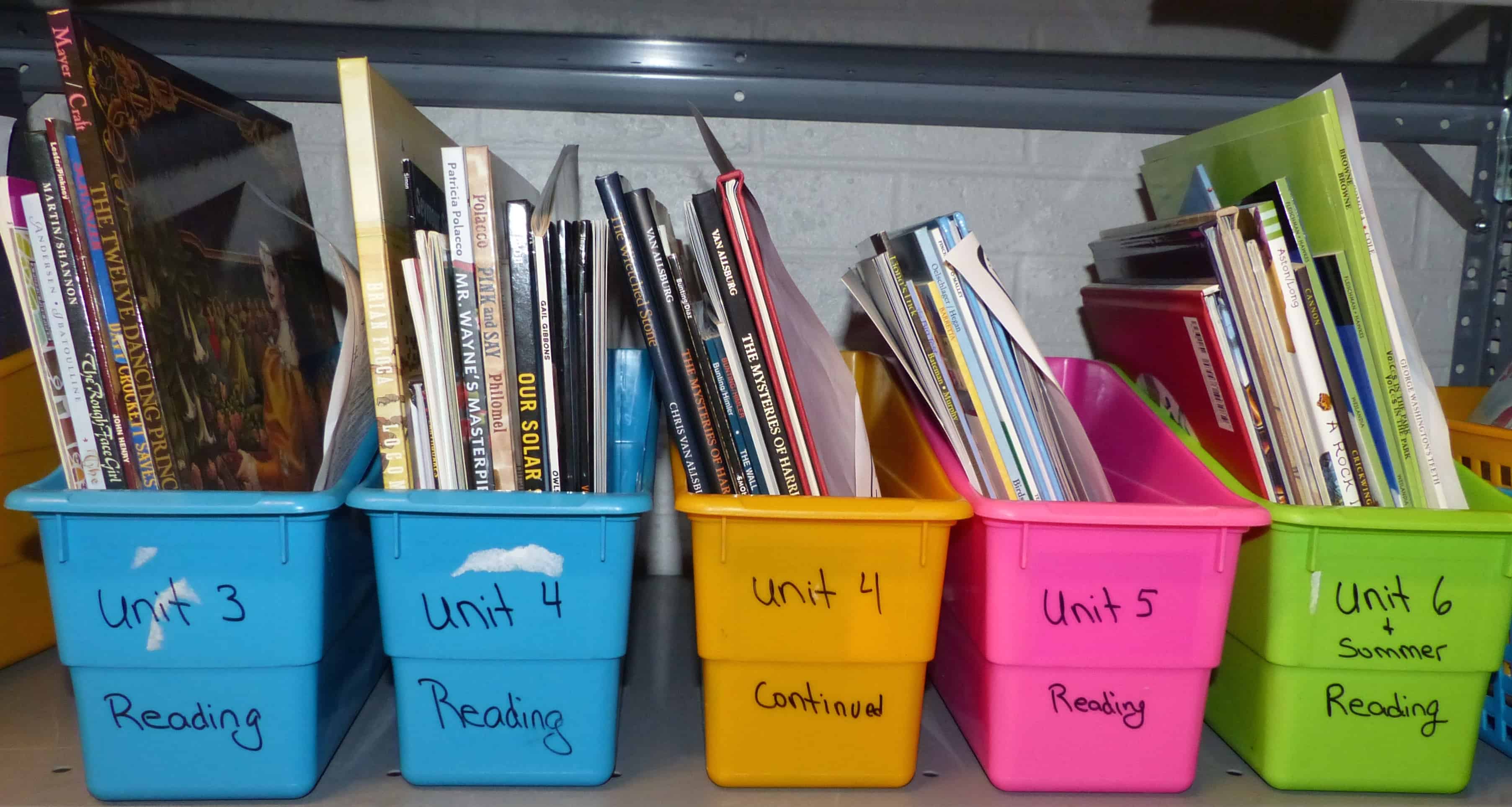 Reading Mentor Texts | Ashleigh's Education Journey | Bloglovin’