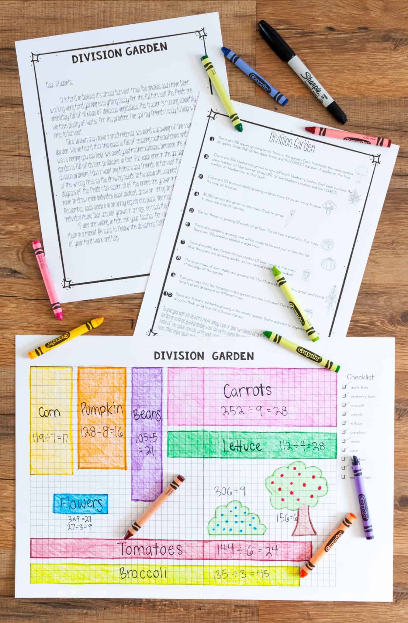 4th Grade Division Unit - Ashleigh's Education Journey