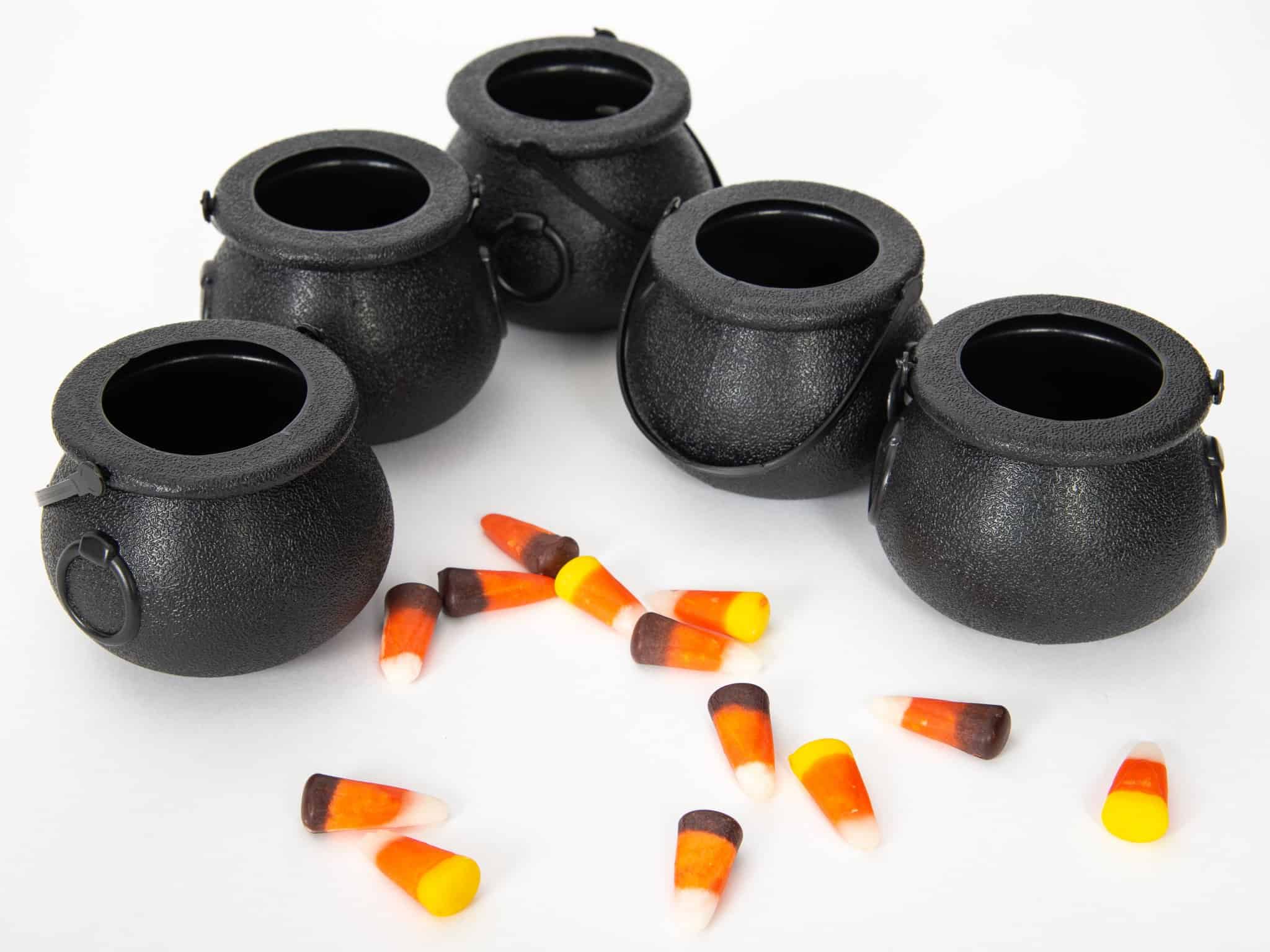 Candy Corn Division - Ashleigh's Education Journey