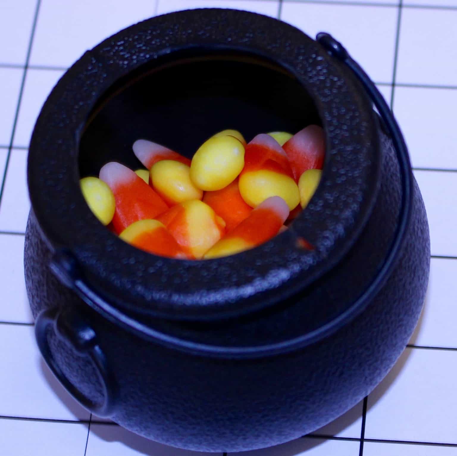 Candy Corn Division - Ashleigh's Education Journey