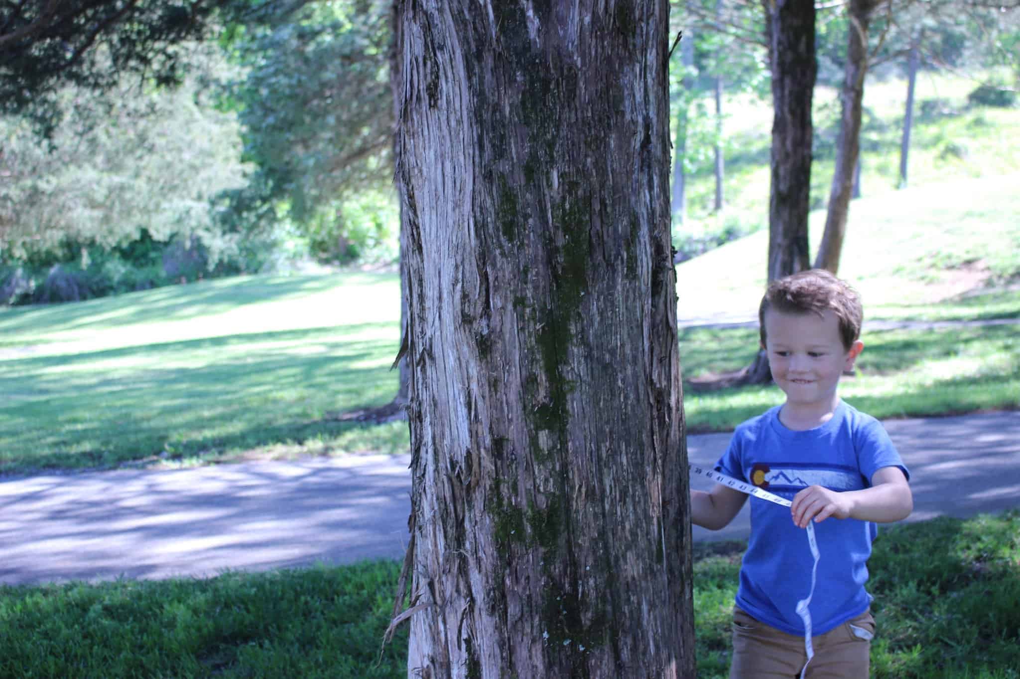 Teaching Math Outdoors - Ashleigh's Education Journey