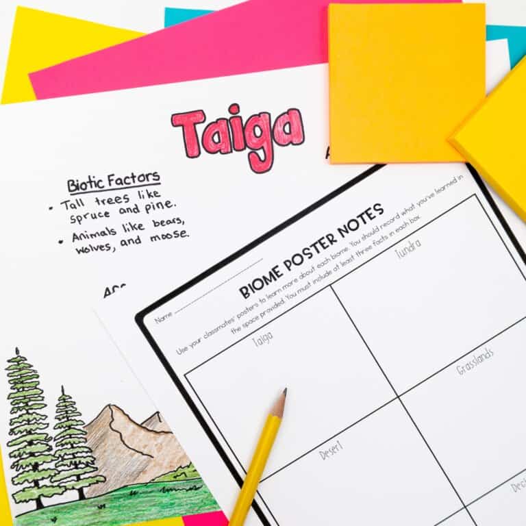 Ecosystems Project & Activities - Ashleigh's Education Journey