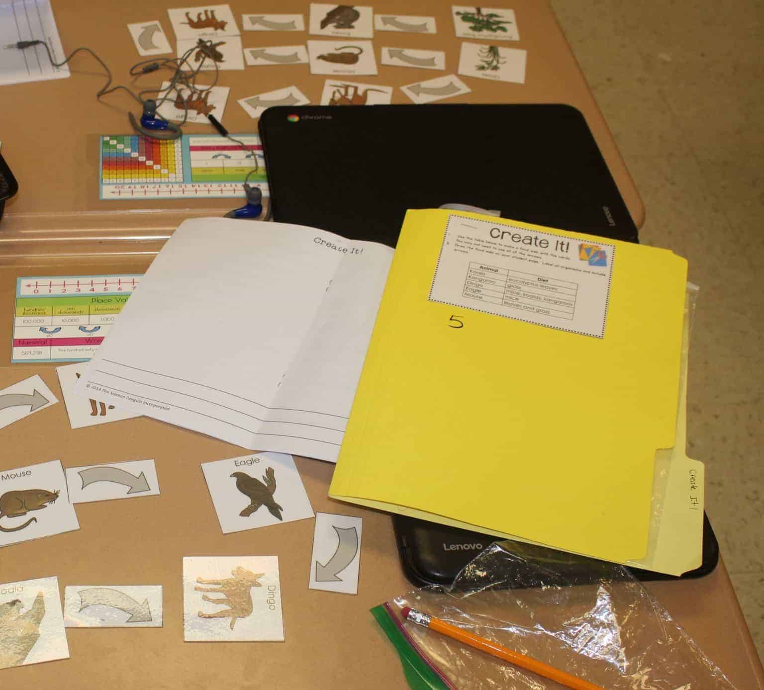 Ecosystems Project & Activities - Ashleigh's Education Journey