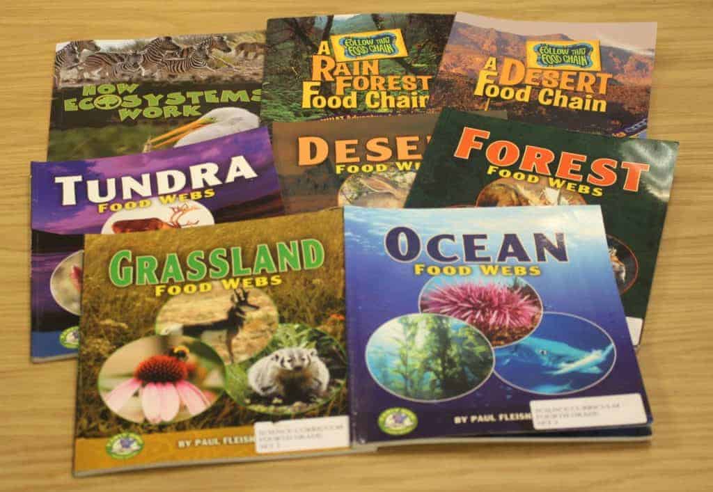 Ecosystems Project & Activities - Ashleigh's Education Journey