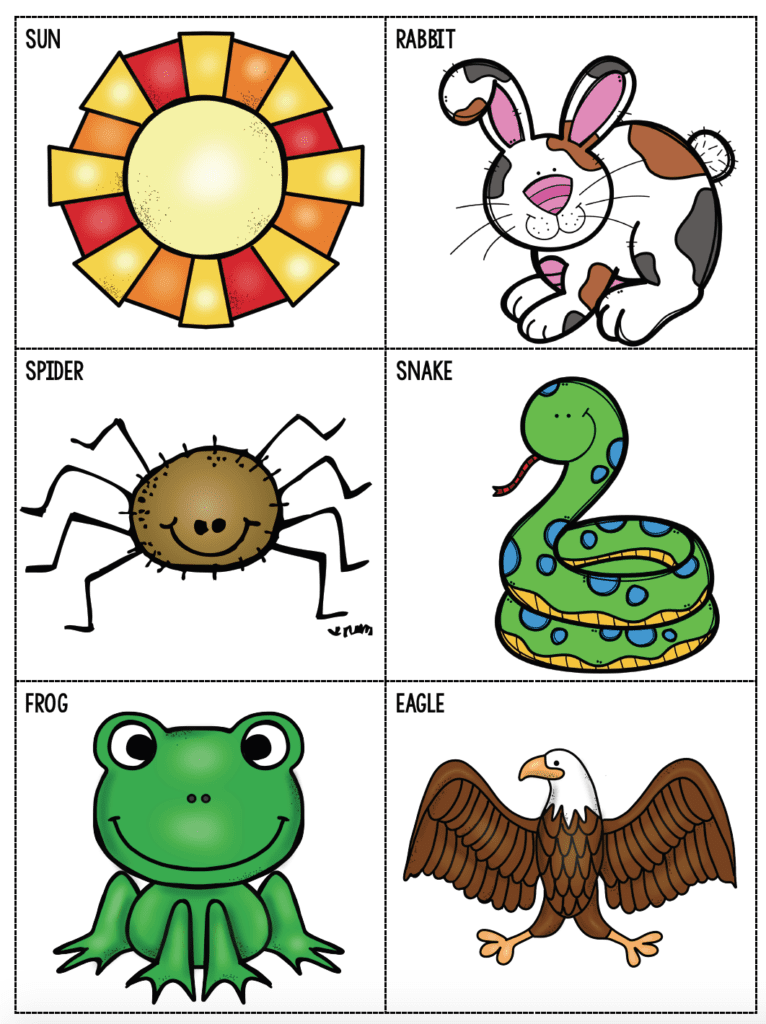 Ecosystems Project & Activities - Ashleigh's Education Journey