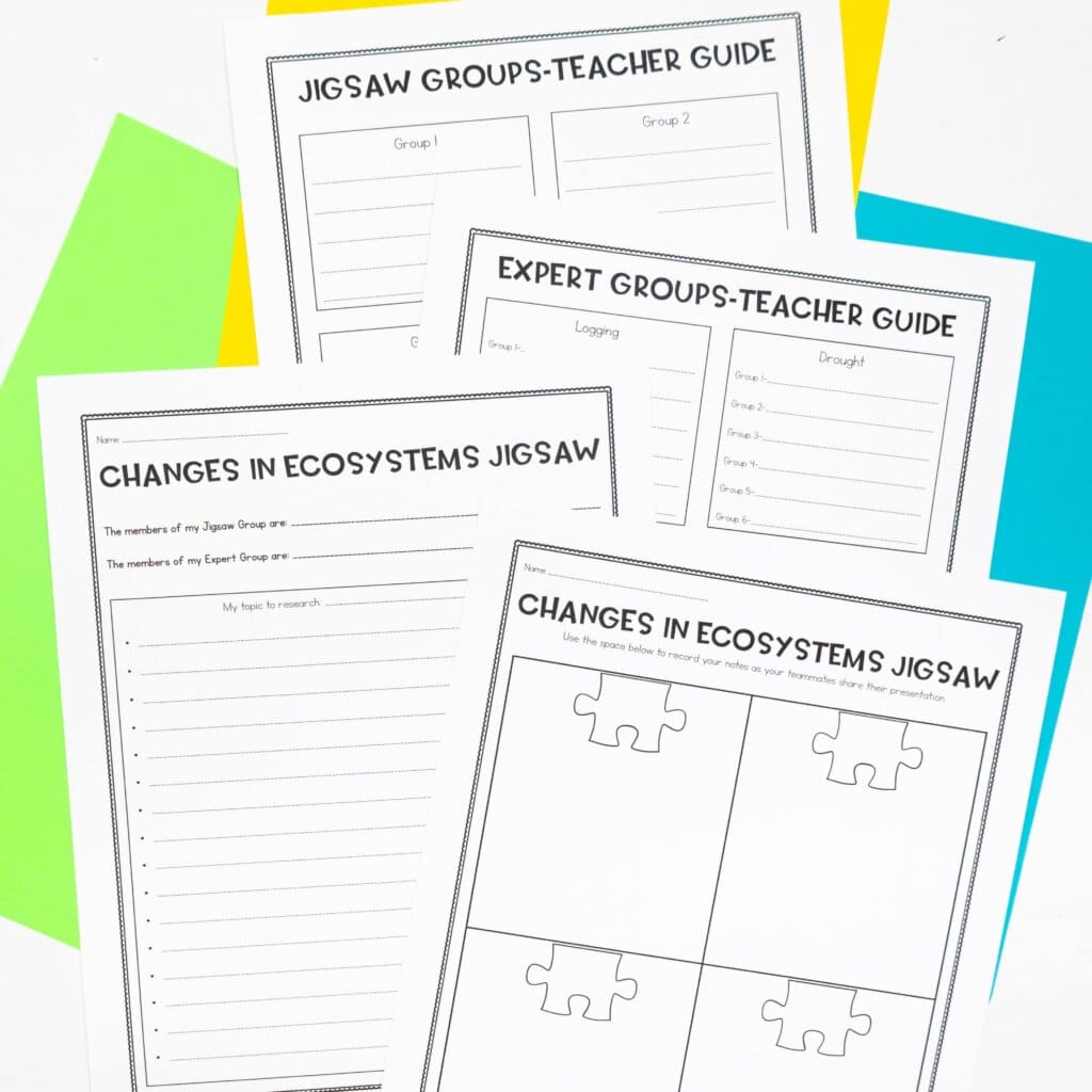 Ecosystems Project & Activities - Ashleigh's Education Journey