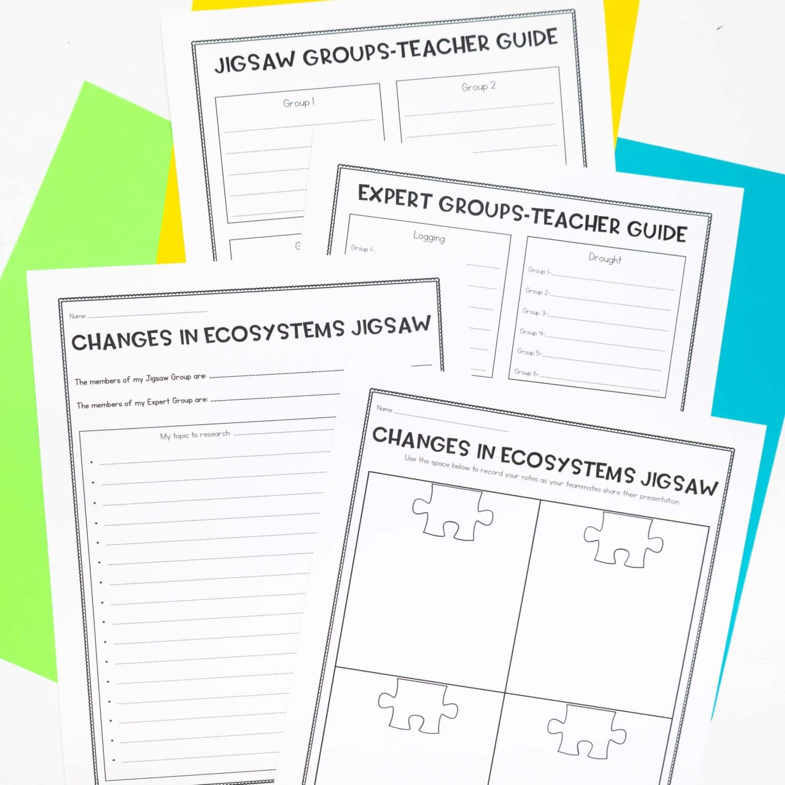 Ecosystems Project & Activities - Ashleigh's Education Journey