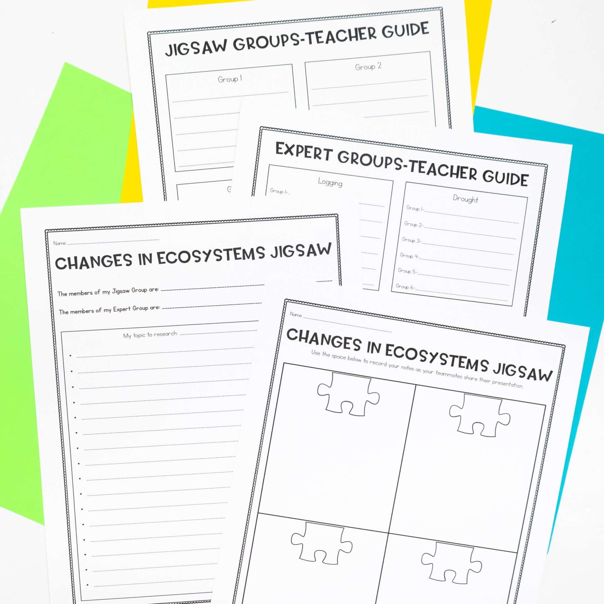 Ecosystems Project & Activities - Ashleigh's Education Journey