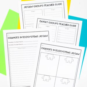 Ecosystems Project & Activities - Ashleigh's Education Journey