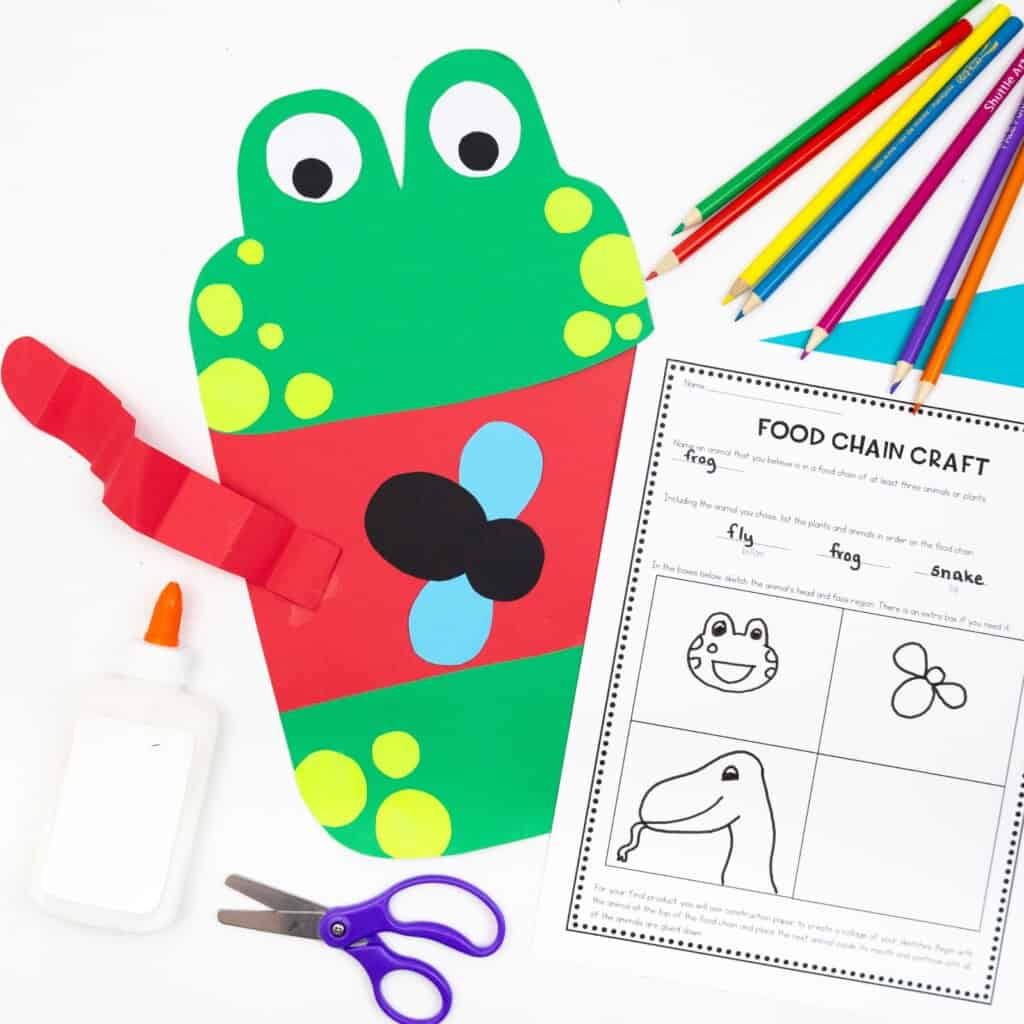 Ecosystems Project & Activities - Ashleigh's Education Journey