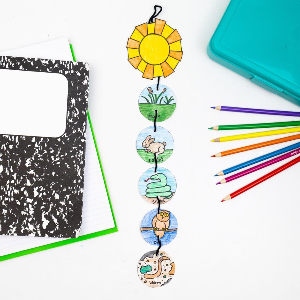 Ecosystems Project & Activities - Ashleigh's Education Journey