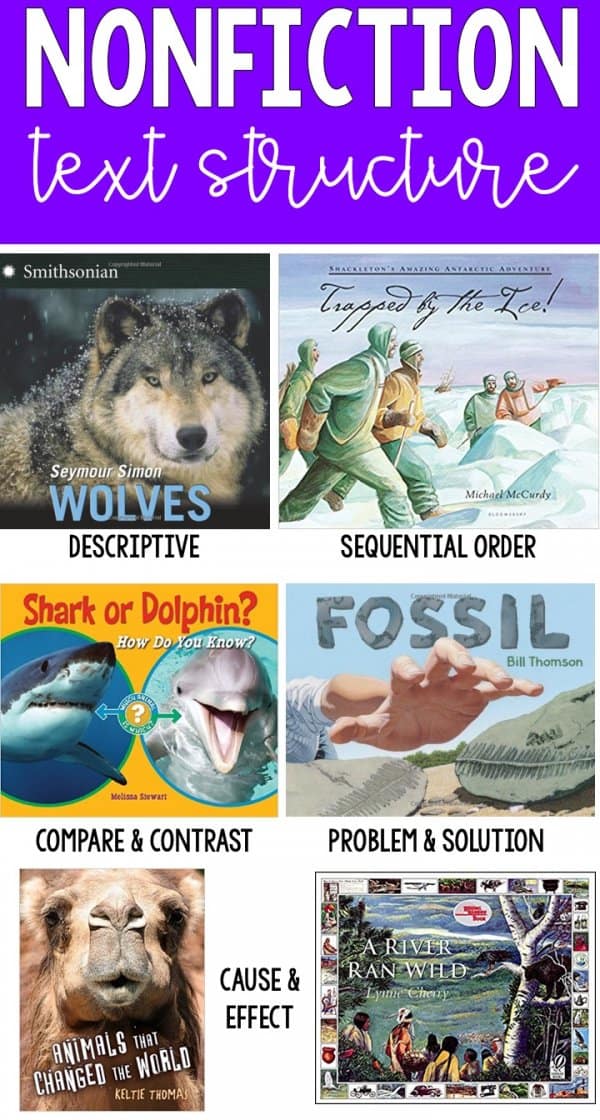 Nonfiction Text Structure Lessons - Ashleigh's Education Journey