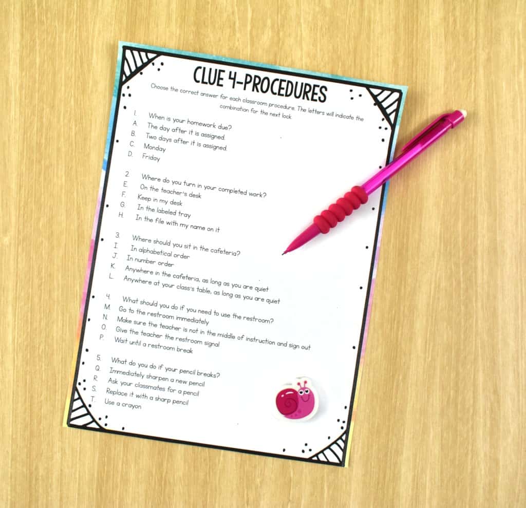 Back to School Escape - Ashleigh's Education Journey