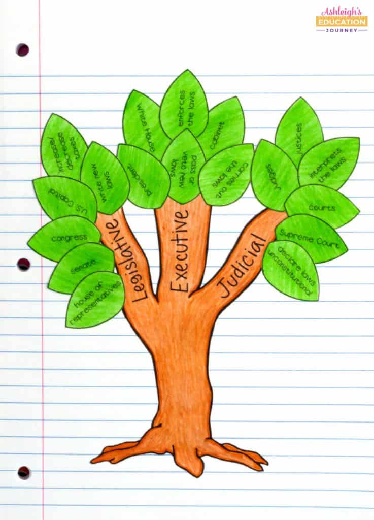 Teaching American Government - Ashleigh's Education Journey