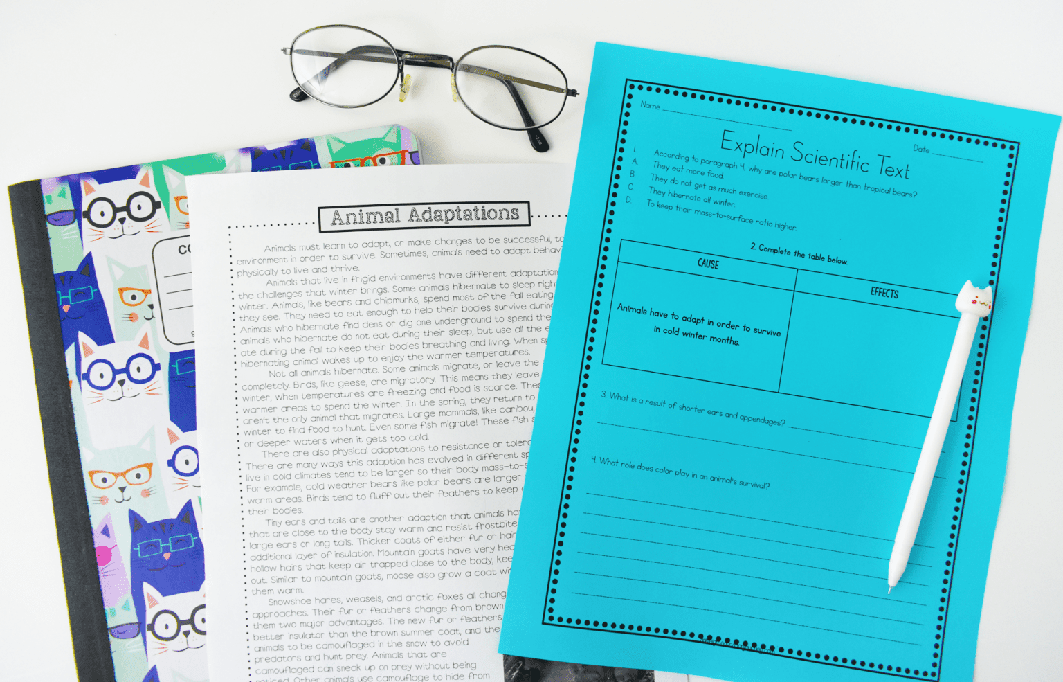 Explaining Events - Ashleigh's Education Journey