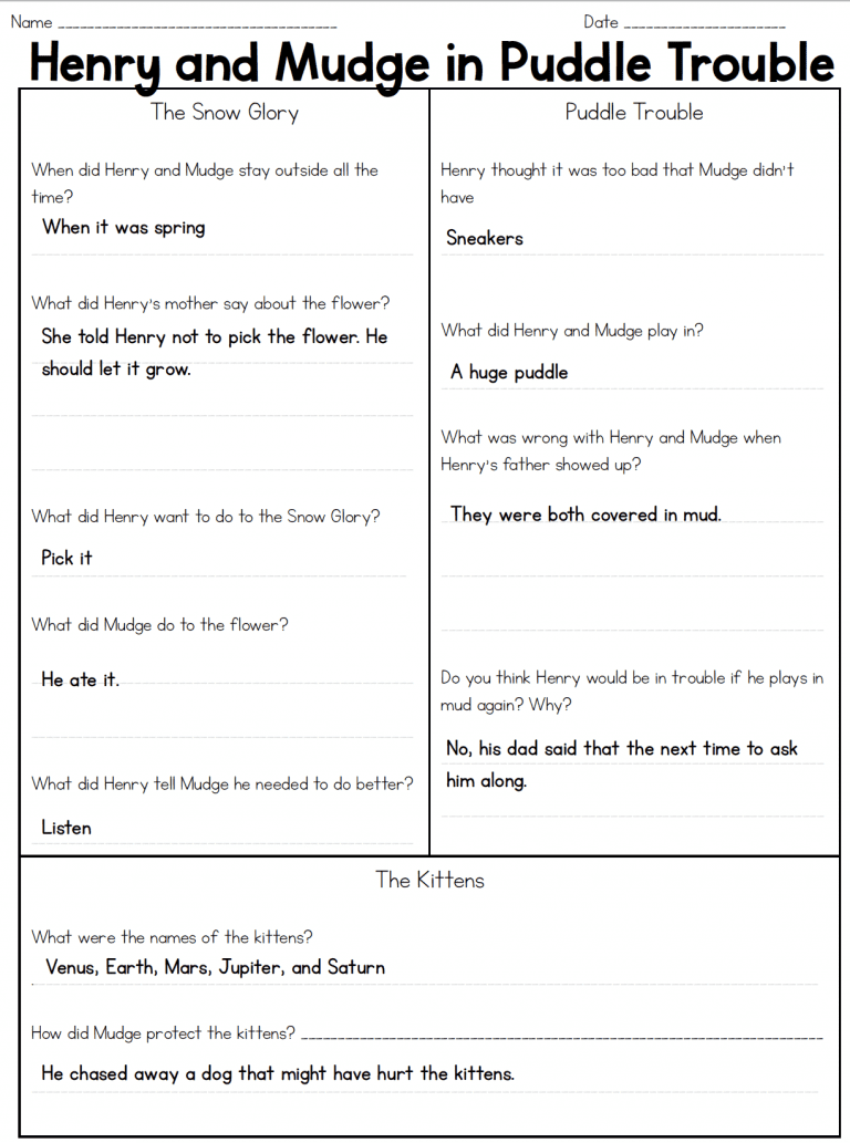 4 Steps to Eliminate Fake Reading - Ashleigh's Education Journey